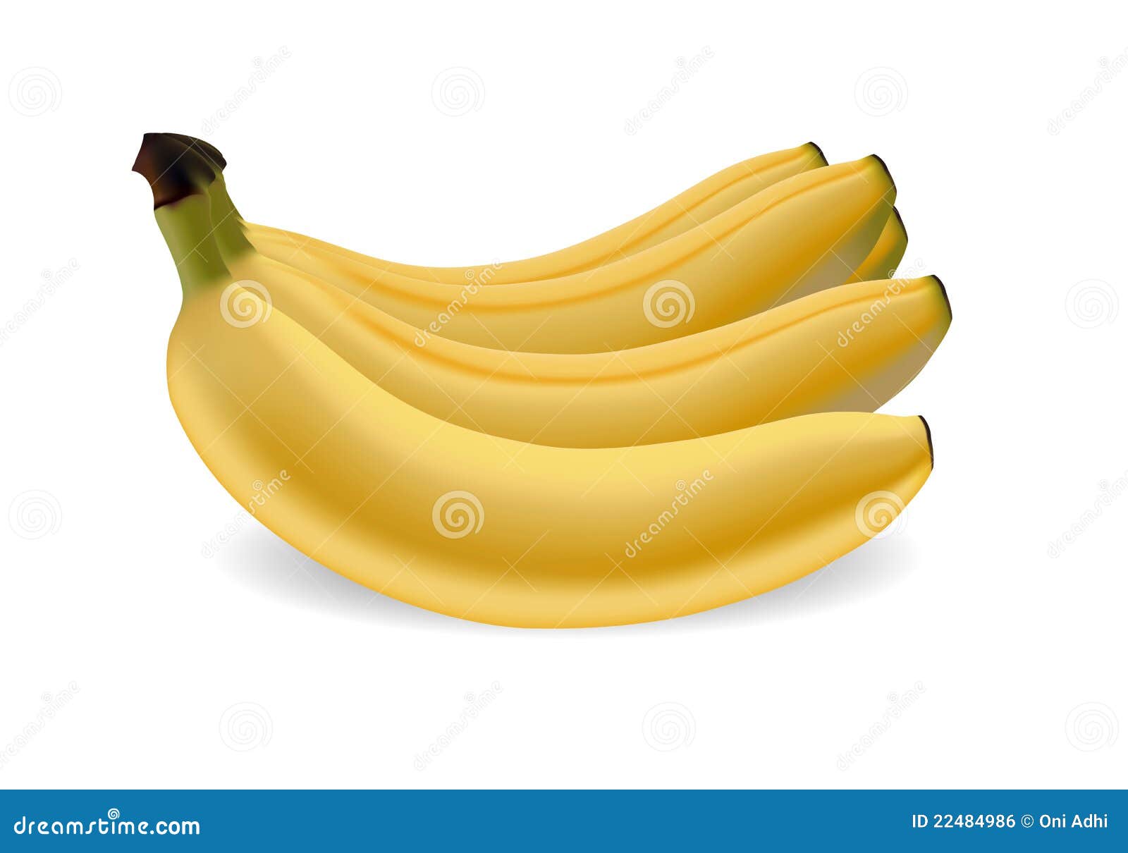 Banana fruit stock illustration. Illustration of graphic - 22484986