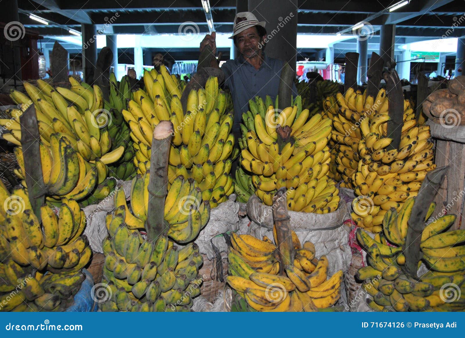 Banana fruit editorial photo. Image of consumption, altitude - 71674126