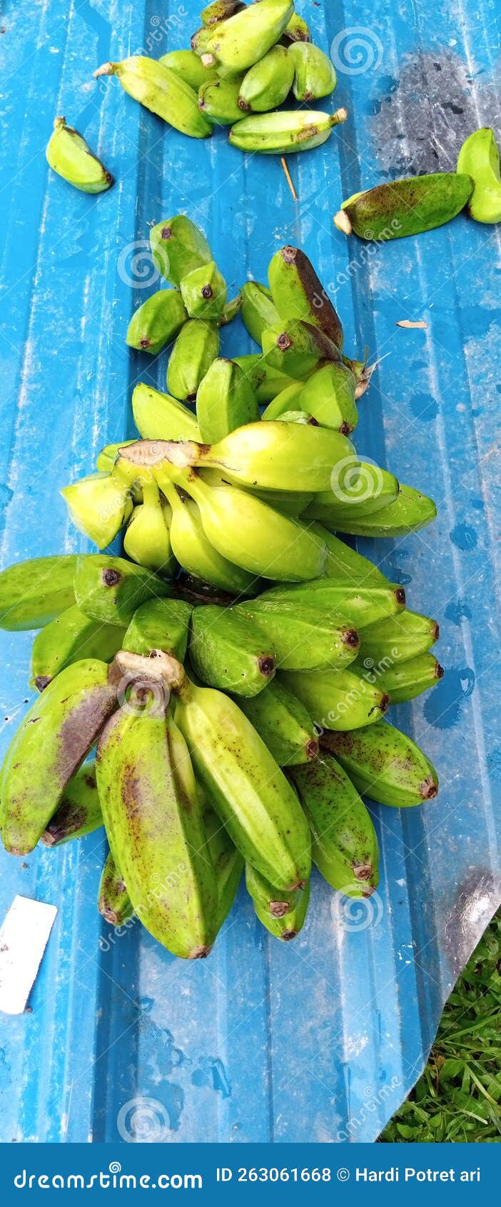 This is a Banana, I Like Banana Stock Photo - Image of banana, fruit ...