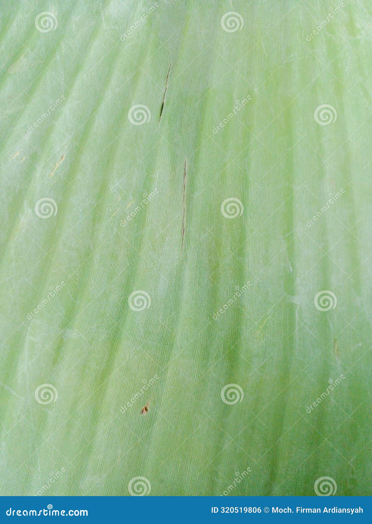 Banana Leaf Sheet. Background from Banana Leaves Stock Photo - Image of beauty, idyllic: 320519806