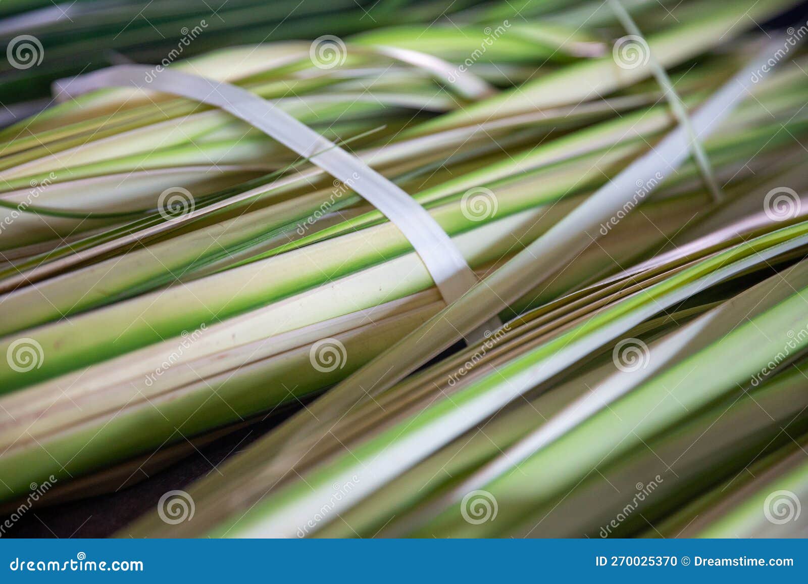 Banana Leaf stack stock photo. Image of ingredients - 270025370