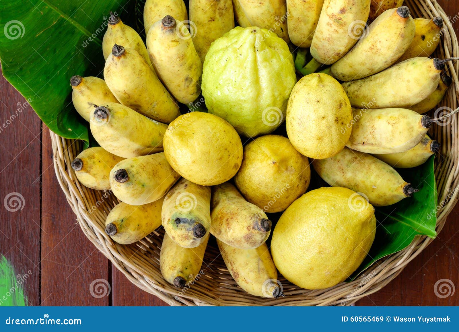 Banana And Lime Native Royalty-Free Stock Photography | CartoonDealer ...