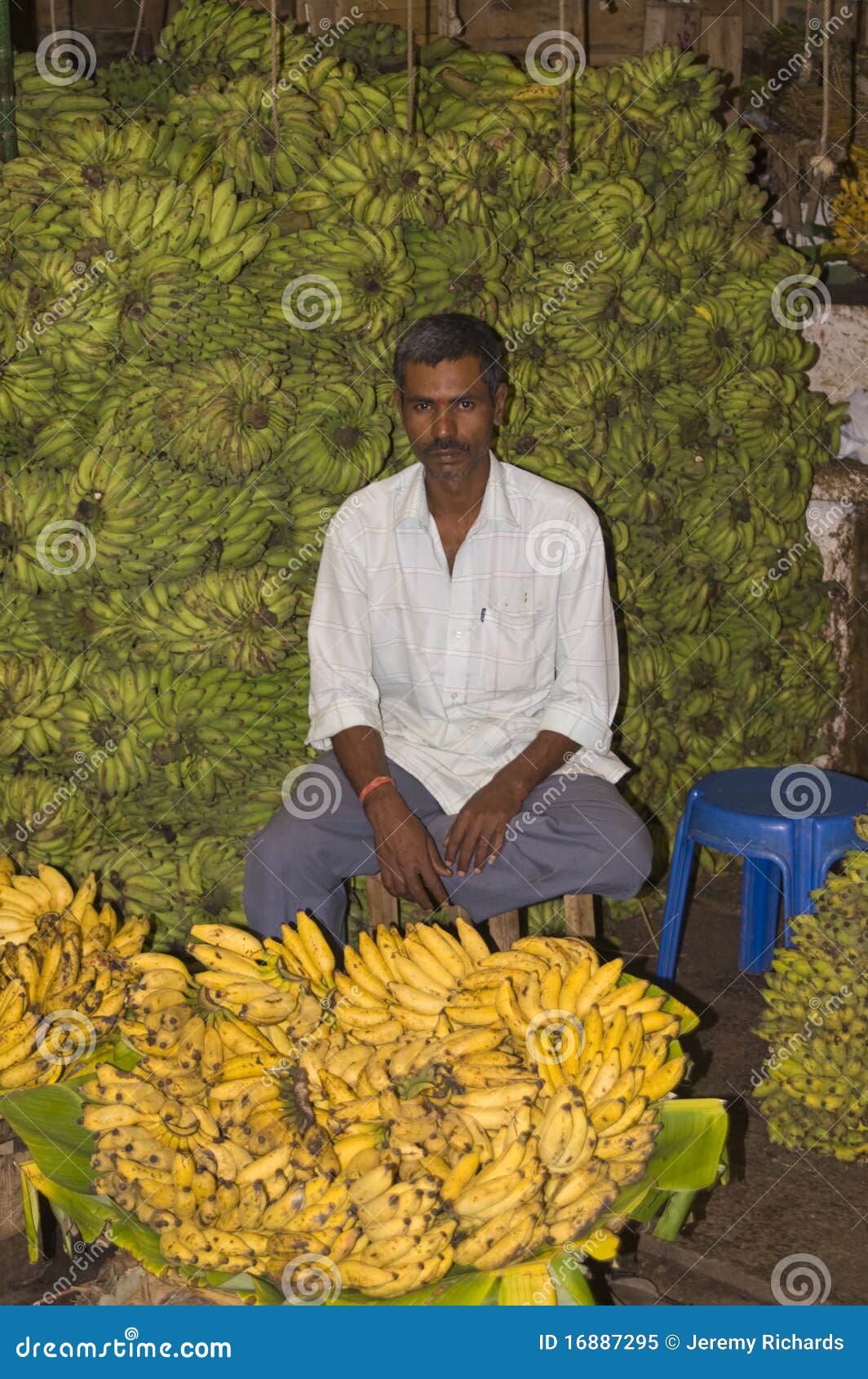 Banana Man editorial image. Image of green, bunch, banana - 16887295