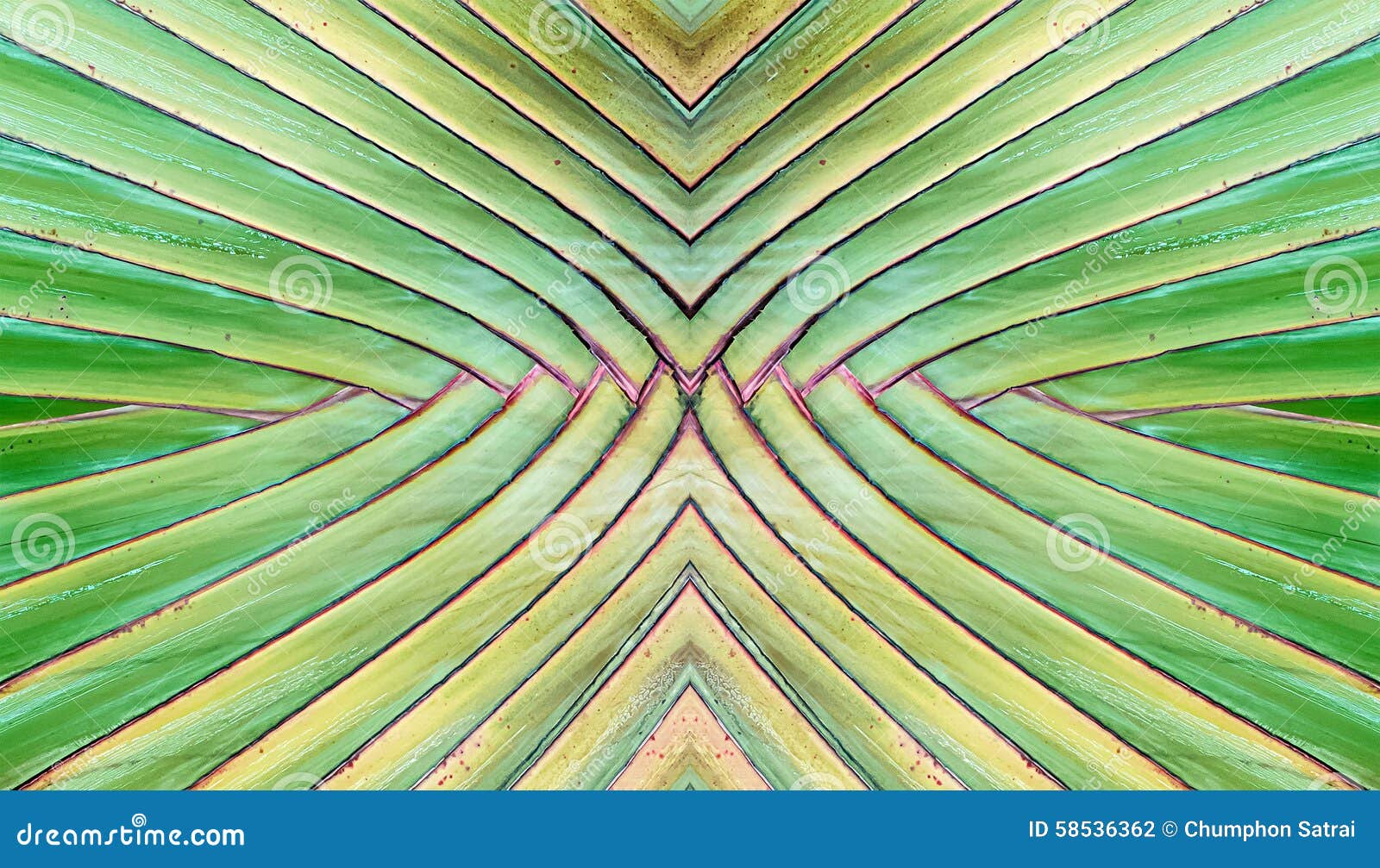 Banana Plants Texture Abstract Background Stock Photo - Image of palm ...