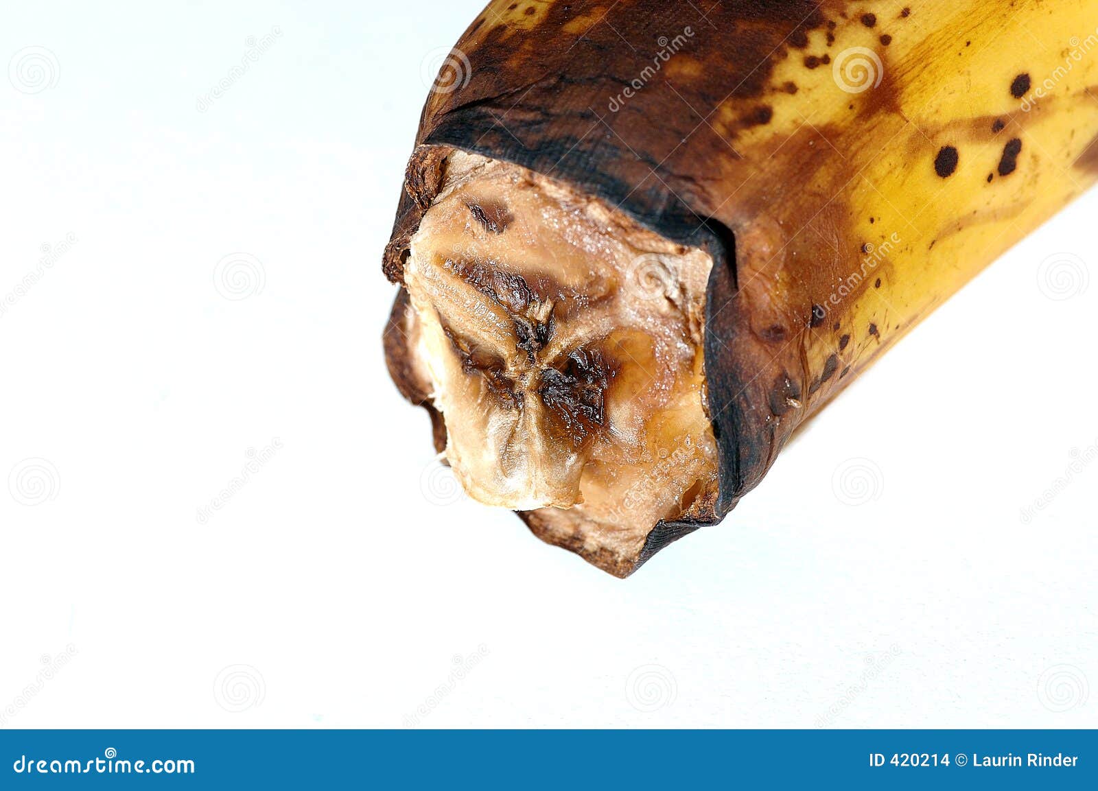 Banana podre foto de stock. Imagem de podre, sobre, haste - 420214