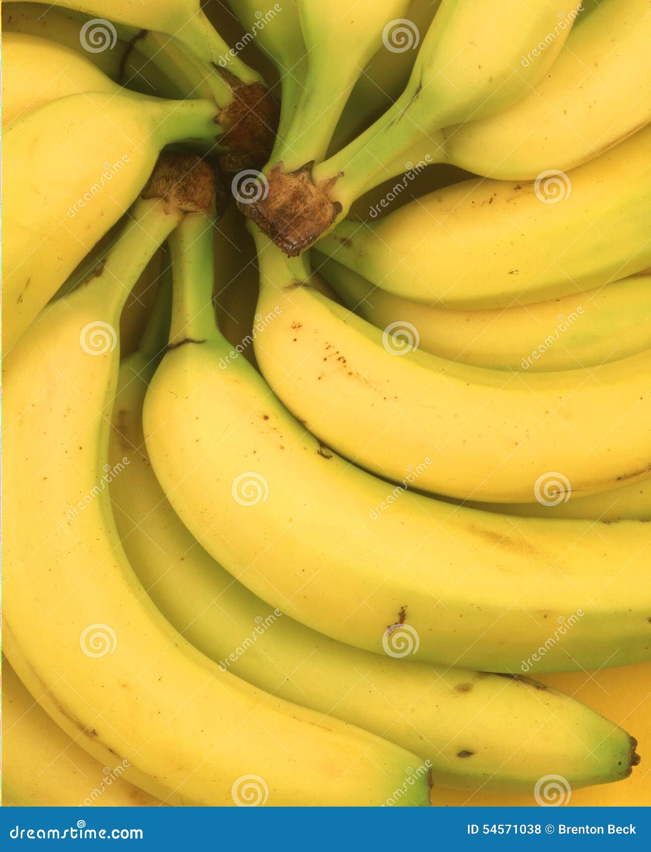 Banana Rama stock photo. Image of bunch, yellow, breakfast - 54571038