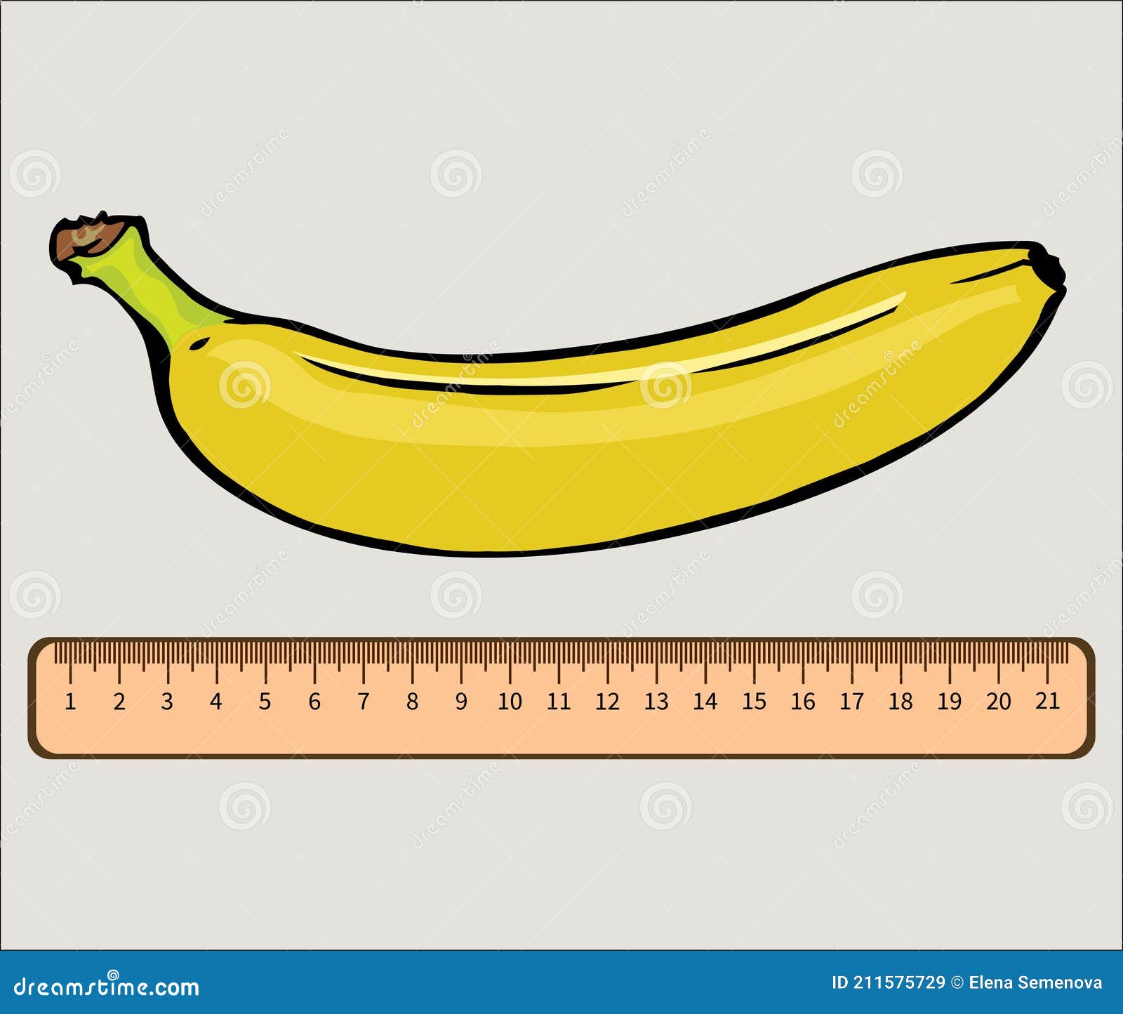 Banana and Ruler on Gray Background Stock Image - Image of matters ...