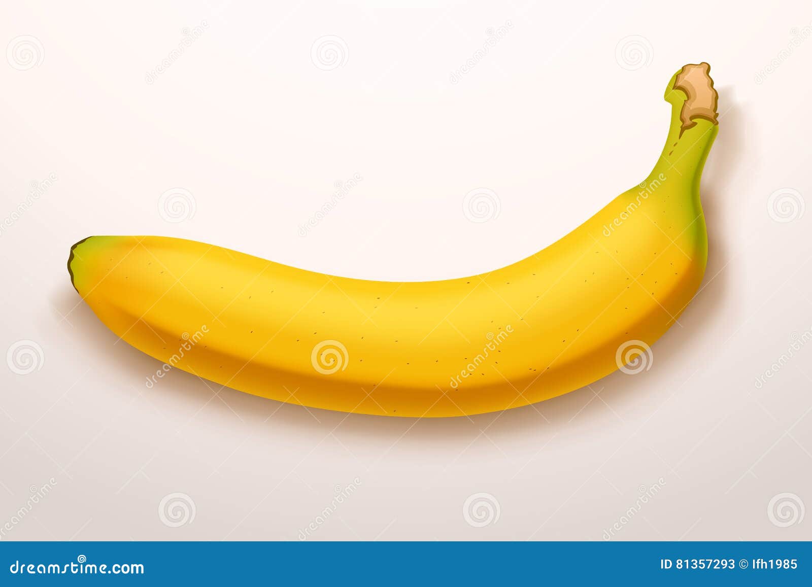 Banana with shadow stock vector. Illustration of branch - 81357293