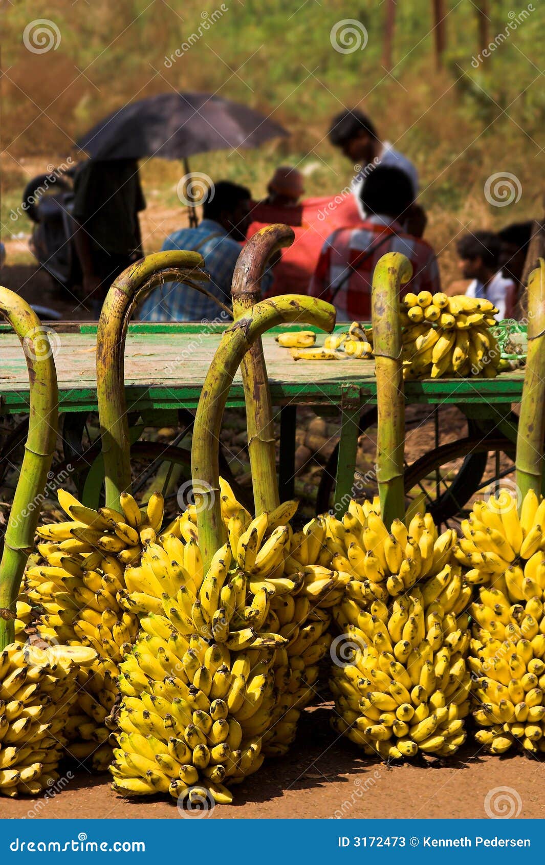 Banana shop stock image. Image of bananas, food, fruits - 3172473