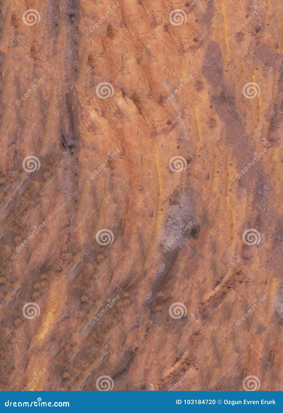 Banana skin texture stock photo. Image of freshness - 103184720