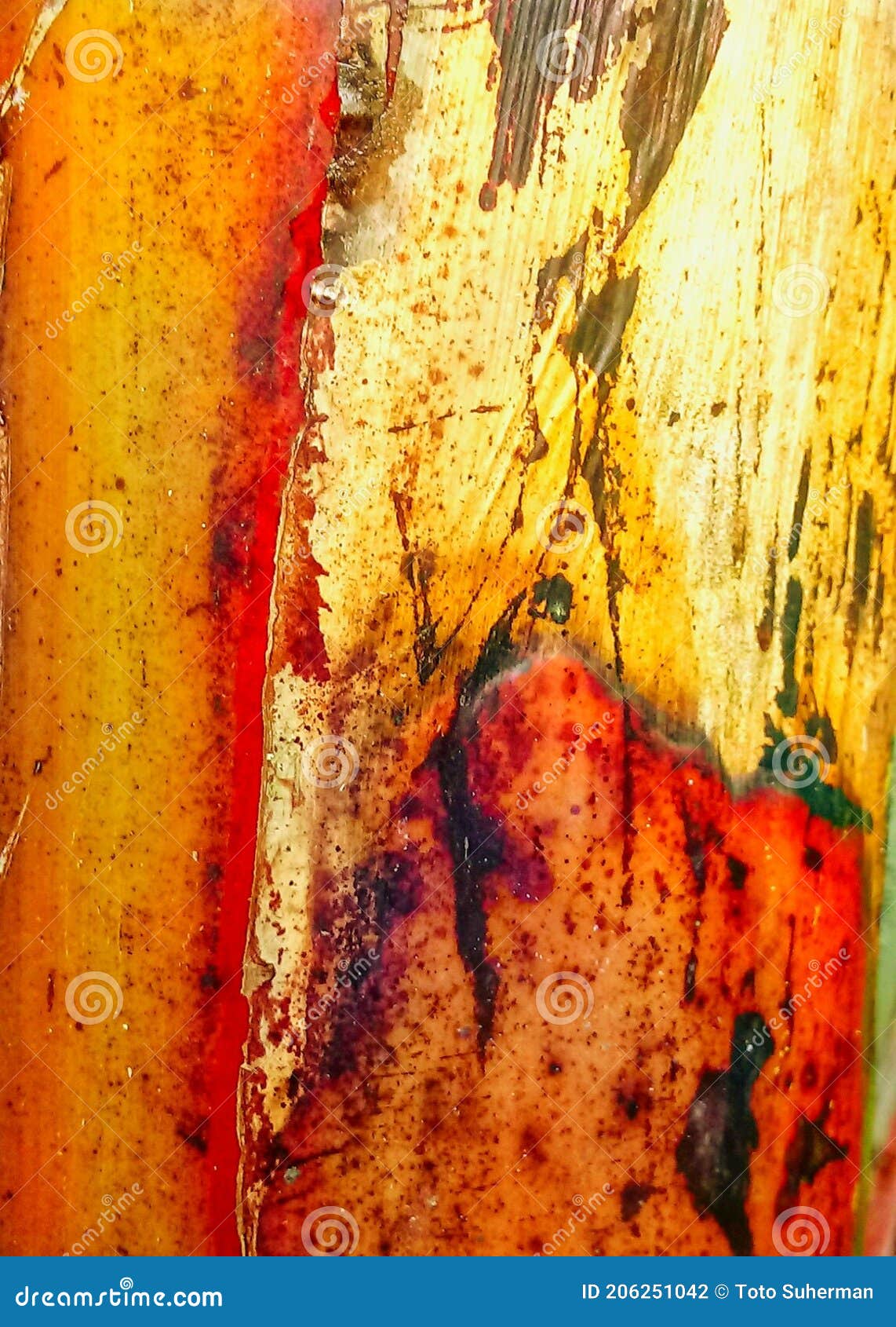 Banana Tree Bark Texture for Background, Abstract and Design Use Stock ...