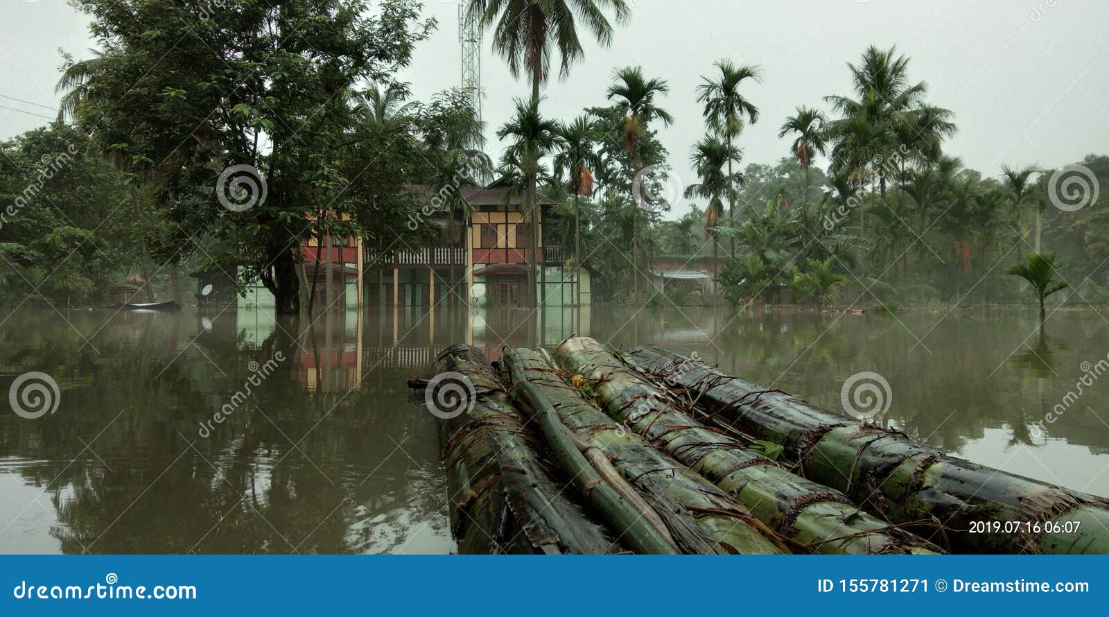 Banana tree boat stock image. Image of tree, scenery - 155781271