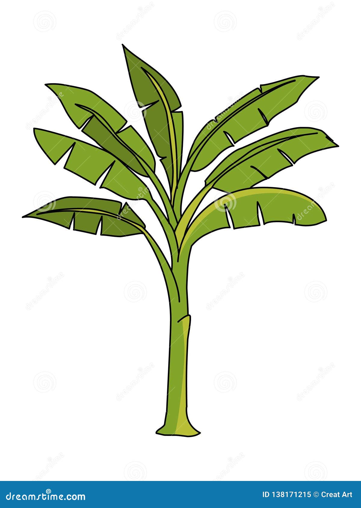 Banana Tree Illustration Vector Stock Vector - Illustration of leaf ...