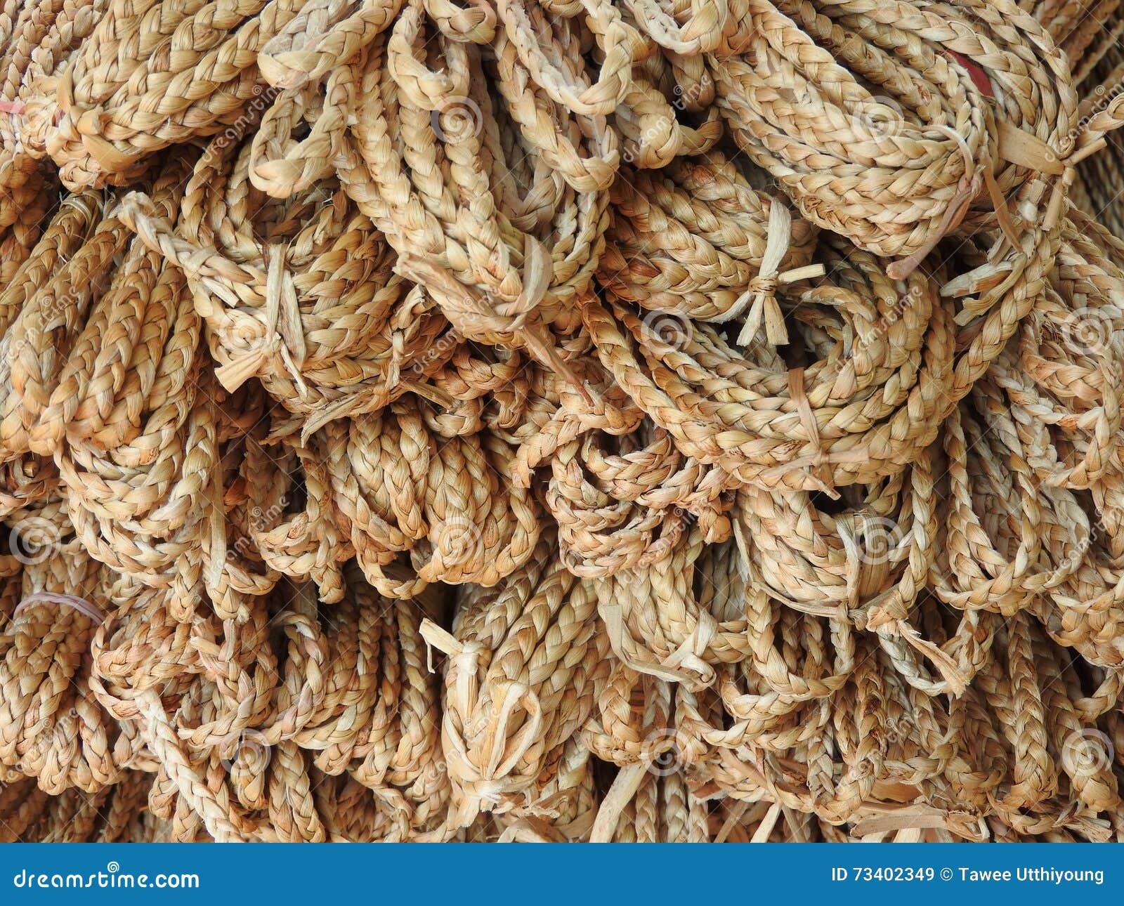 Banana Tree Rope stock image. Image of cable, textured - 73402349