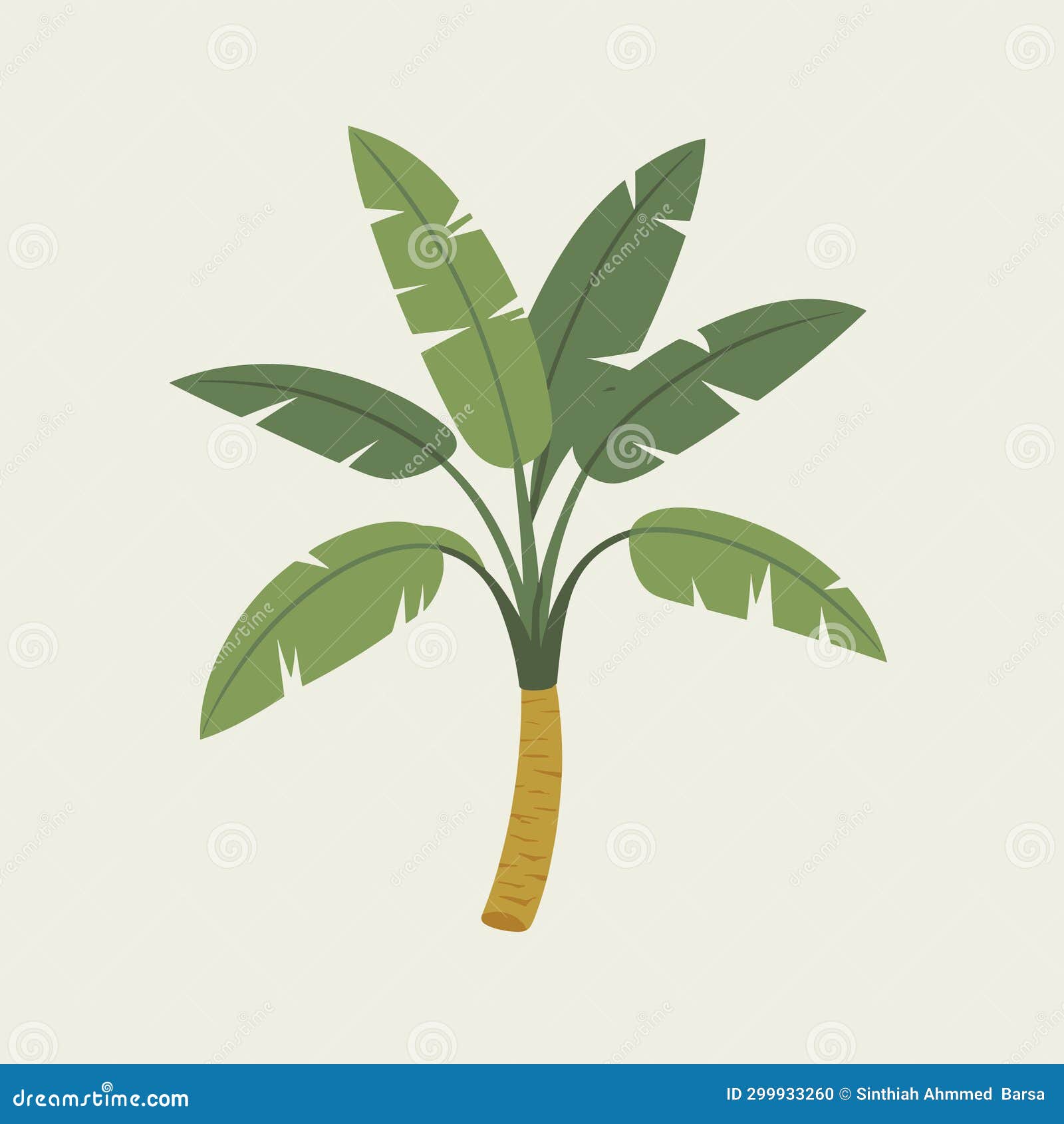 Banana tree vector stock vector. Illustration of flora - 299933260