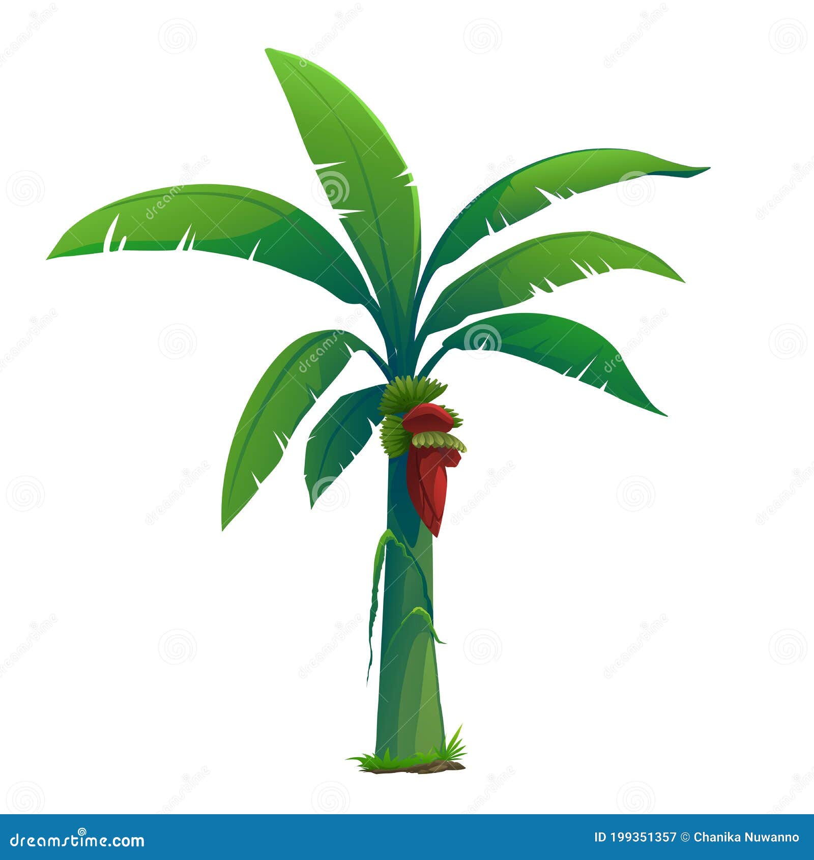 Banana Tree Plant Vector