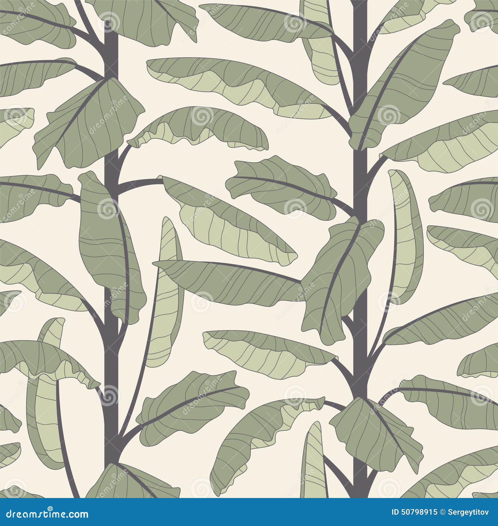 Banana tree stock vector. Illustration of elegant, contour - 50798915