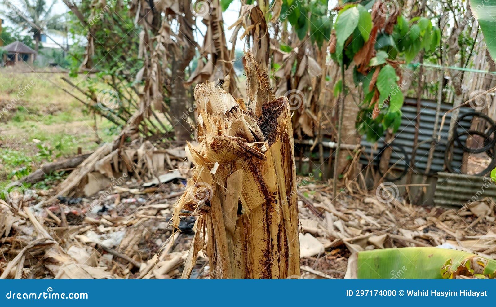 Tree Trash In Landfill Dump Stock Image | CartoonDealer.com #140241787