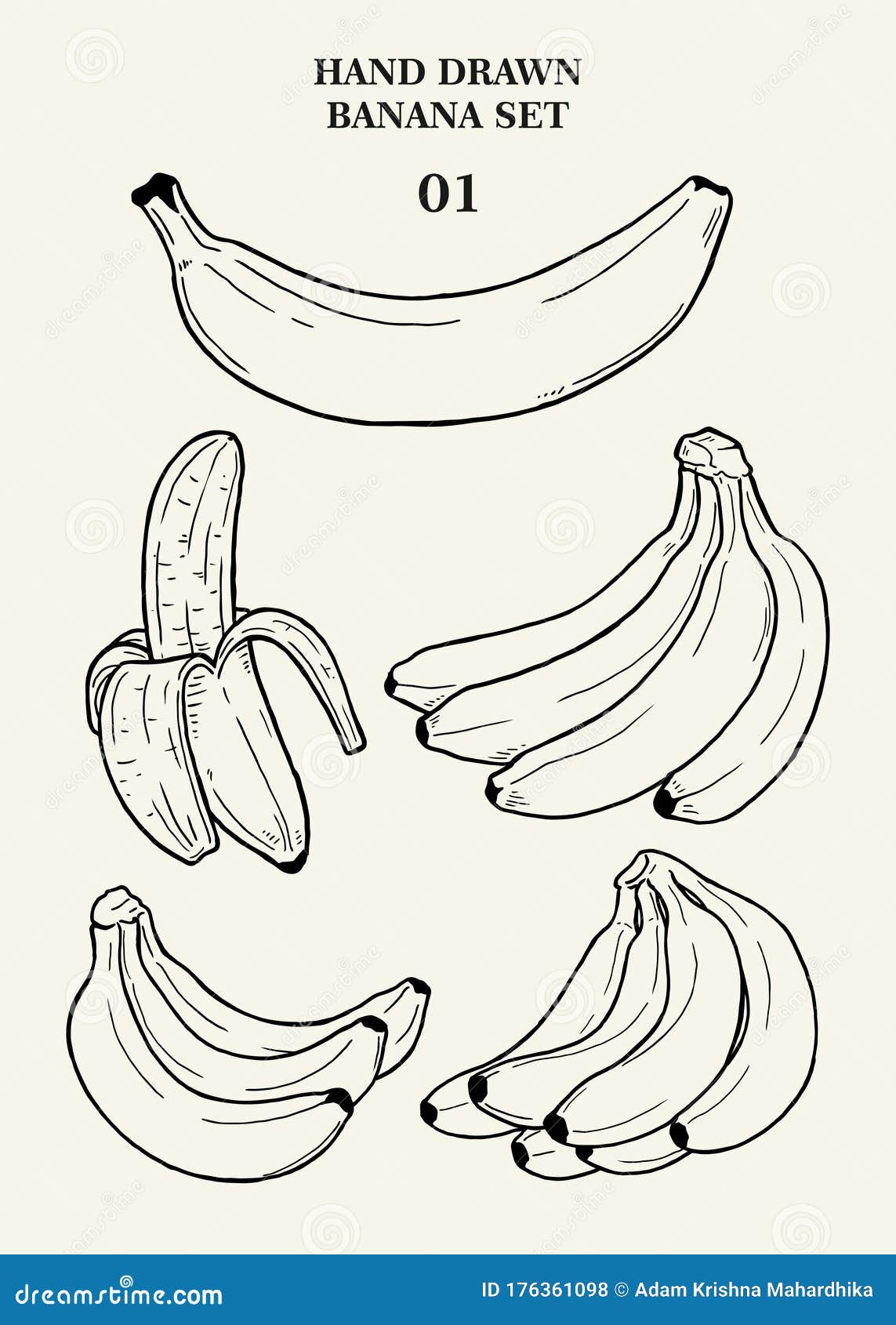 Banana Vector Hand Drawn Set Stock Vector - Illustration of vintage ...