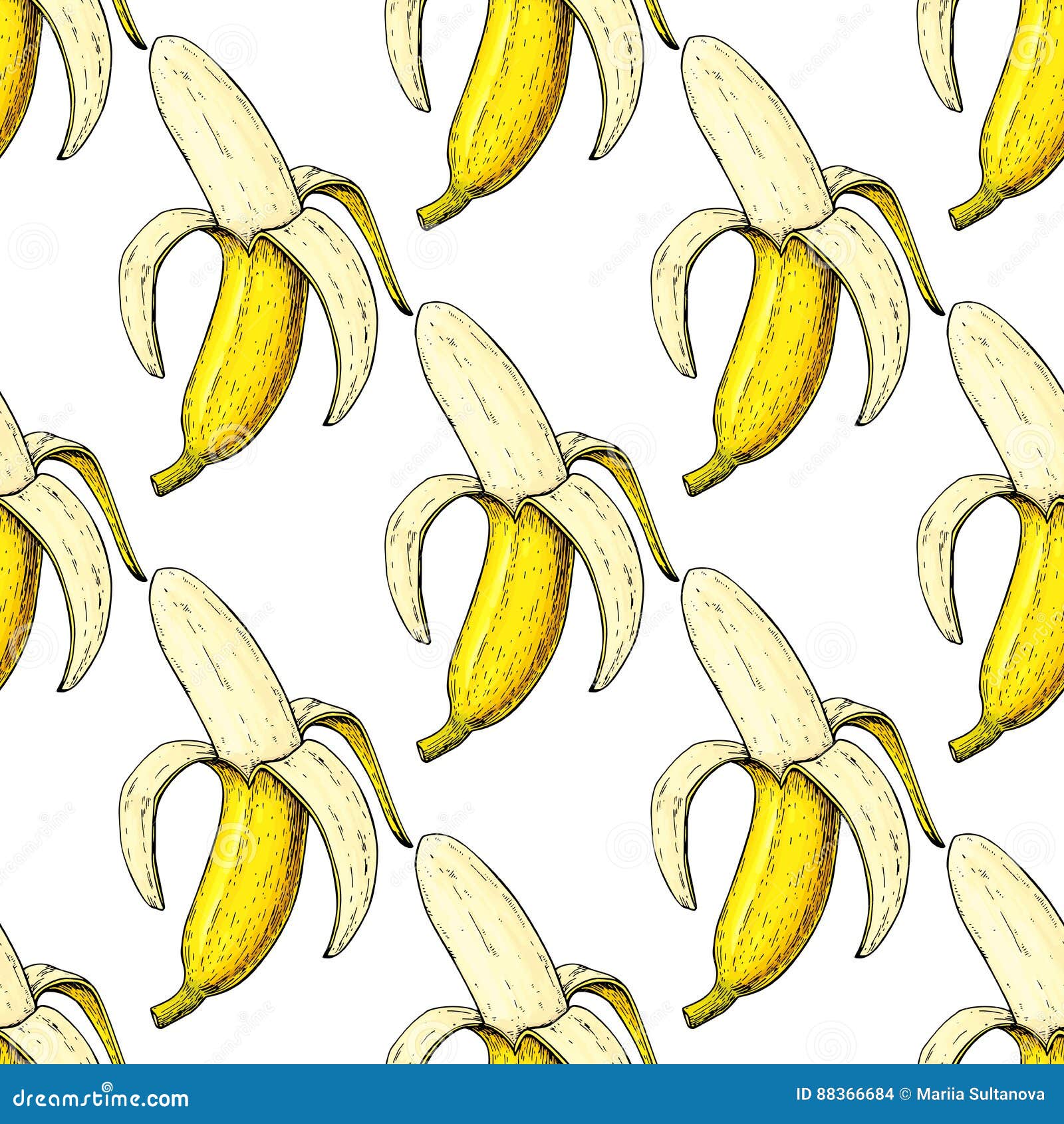 Banana Set Vector Drawing. Isolated Hand Drawn Bunch, Peel Banana And ...