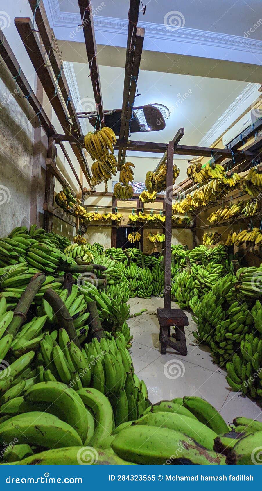 Banana warehouse stock image. Image of warehouse, bananas - 284323565