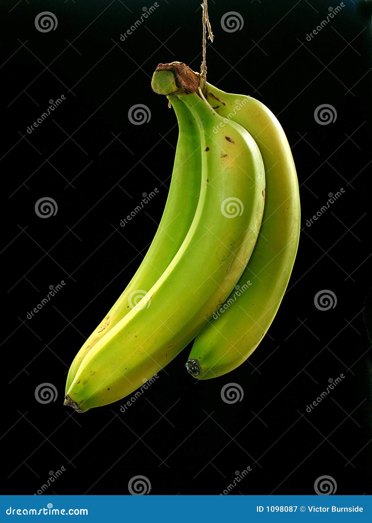 Bananas stock image. Image of skin, curved, string, green - 1098087