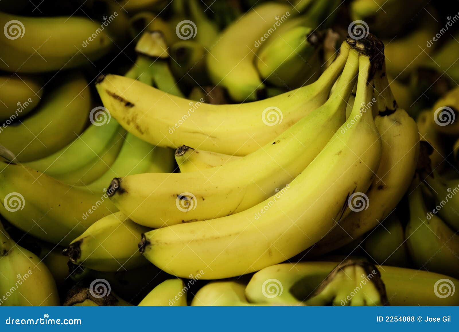 Bananas stock photo. Image of banana, pile, farmer, market - 2254088