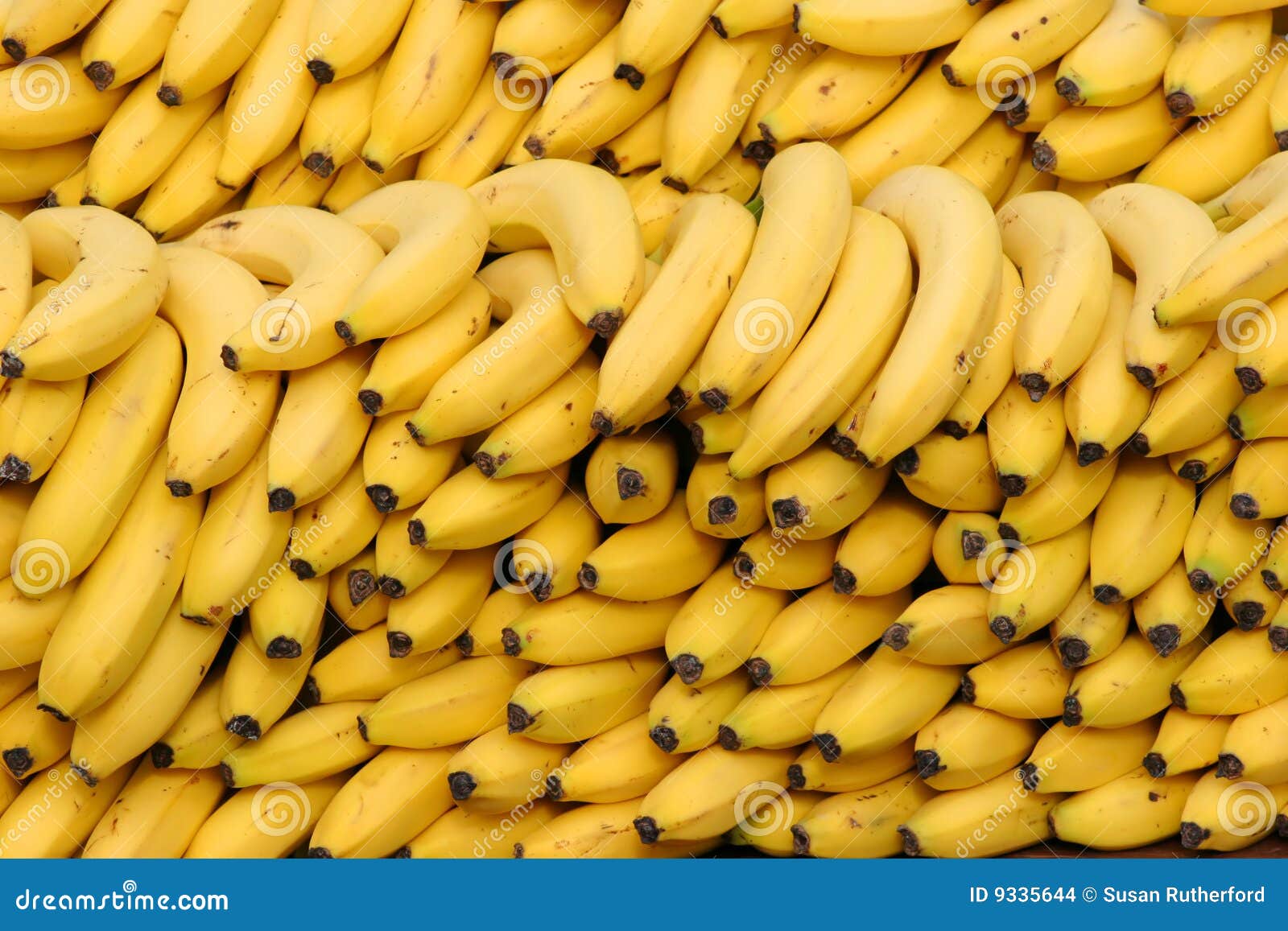 Bananas stock photo. Image of pick, stack, healthy, bananas - 9335644