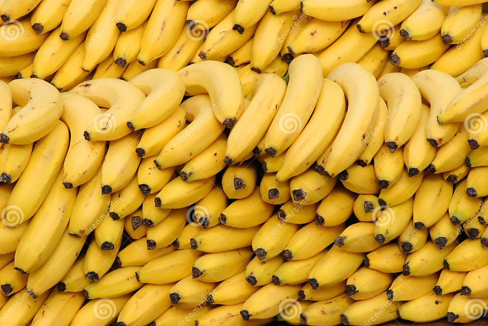Bananas stock photo. Image of pick, stack, healthy, bananas - 9335644