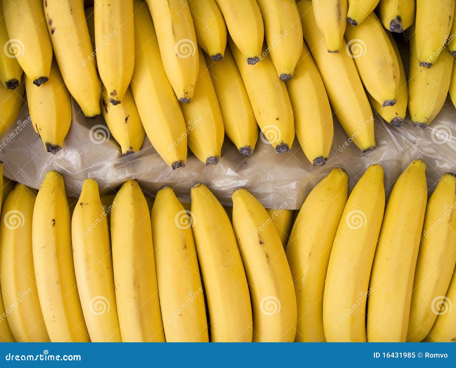 Bananas in a box stock image. Image of banana, heap, bananas - 16431985