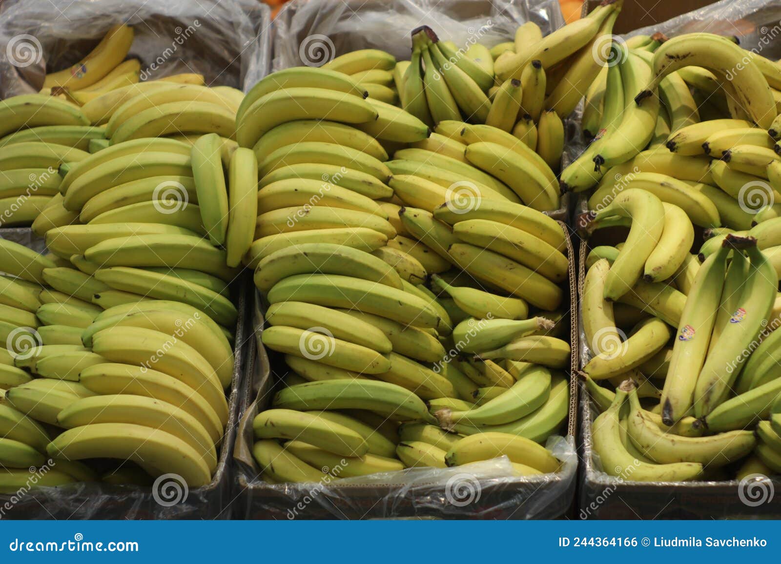 Bananas in Cardboard Boxes with Cellophane Stock Photo - Image of dish ...