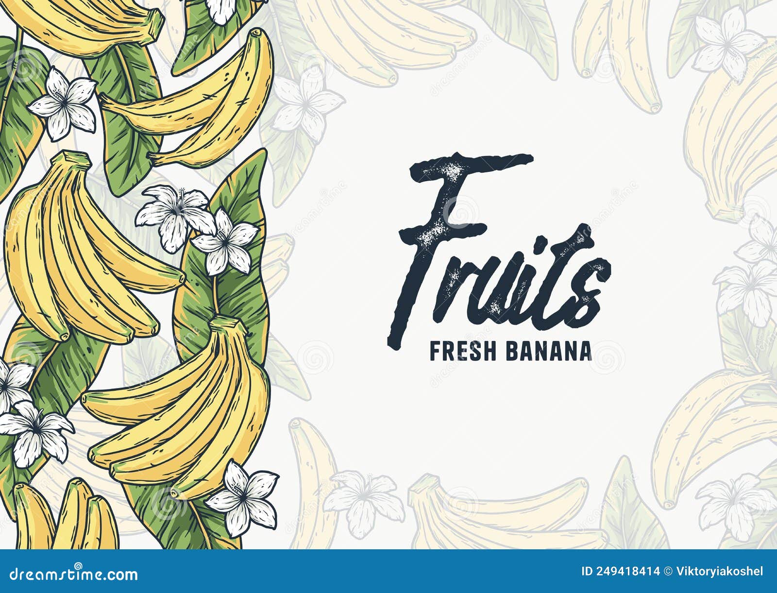 Bananas Frame with Text. Summer Tropical Fruits Stock Vector ...
