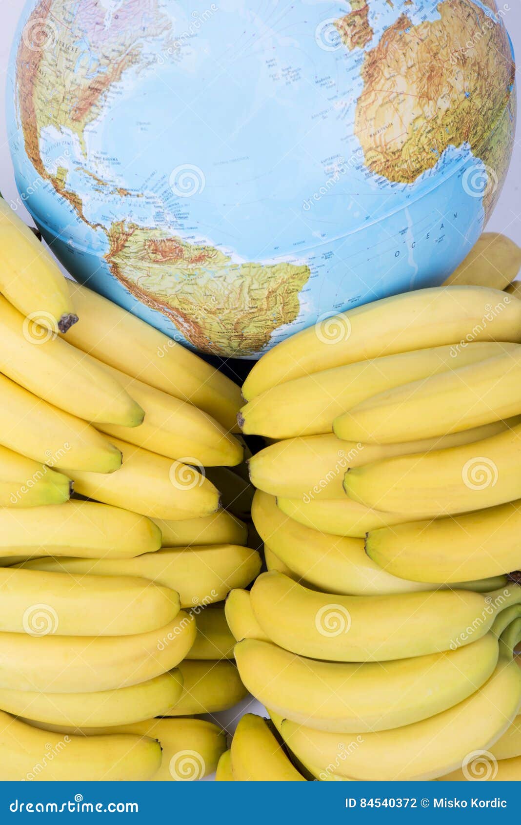 Bananas with globe stock photo. Image of plantation, bunch - 84540372