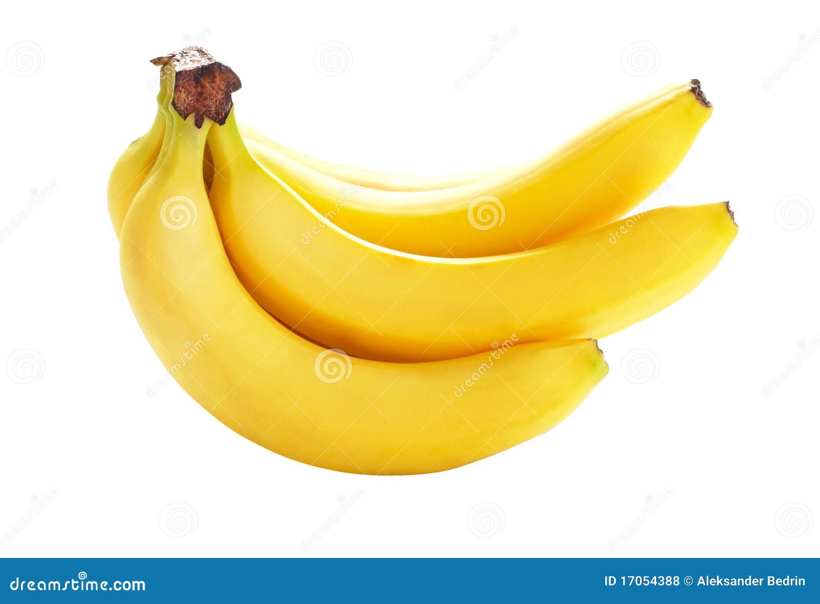 Bananas isolated stock photo. Image of snack, sweet, background - 17054388