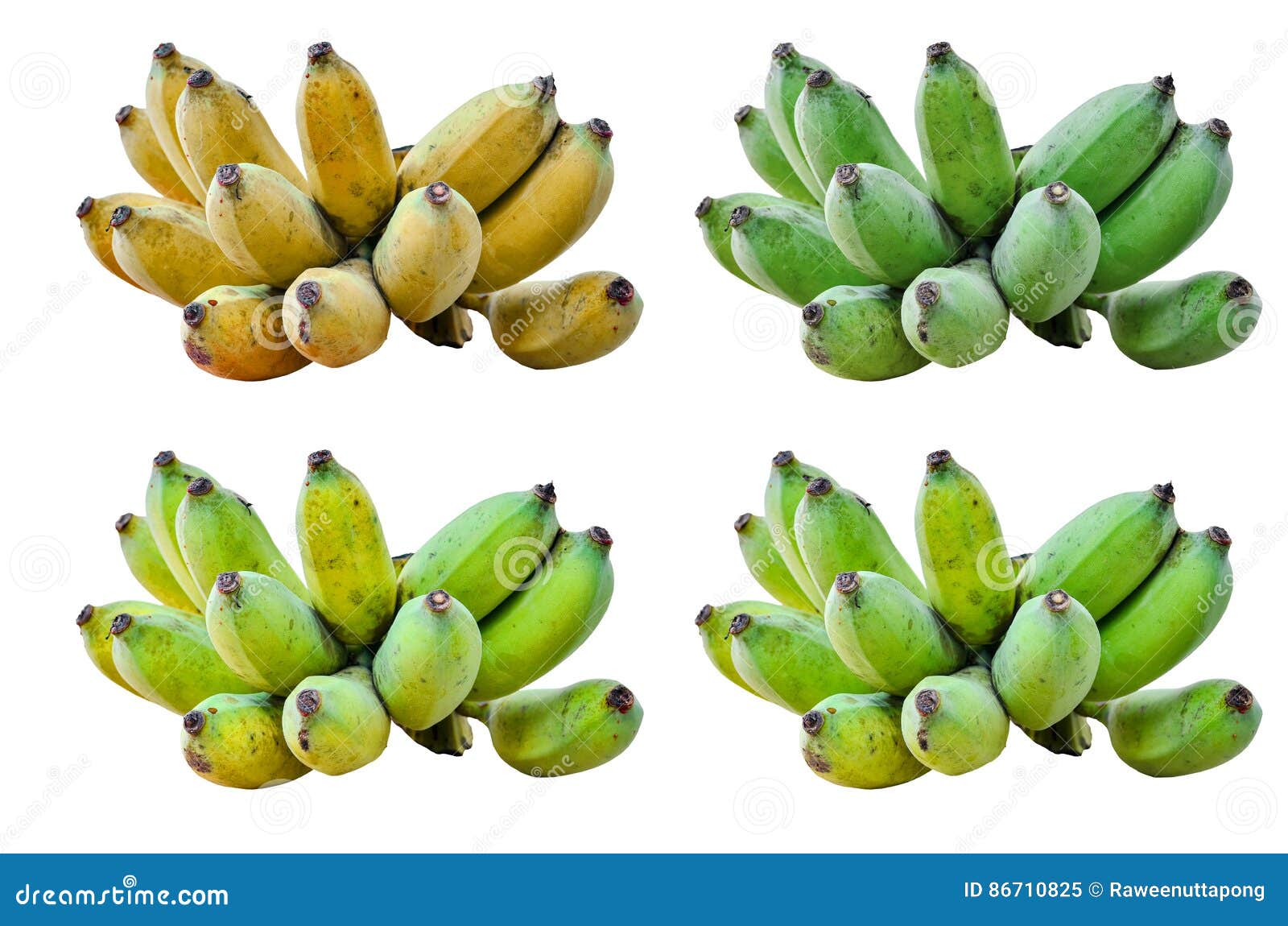 Two Kind Of Bananas - Yellow Color- Kolikuttu And Green Color-anamalu ...