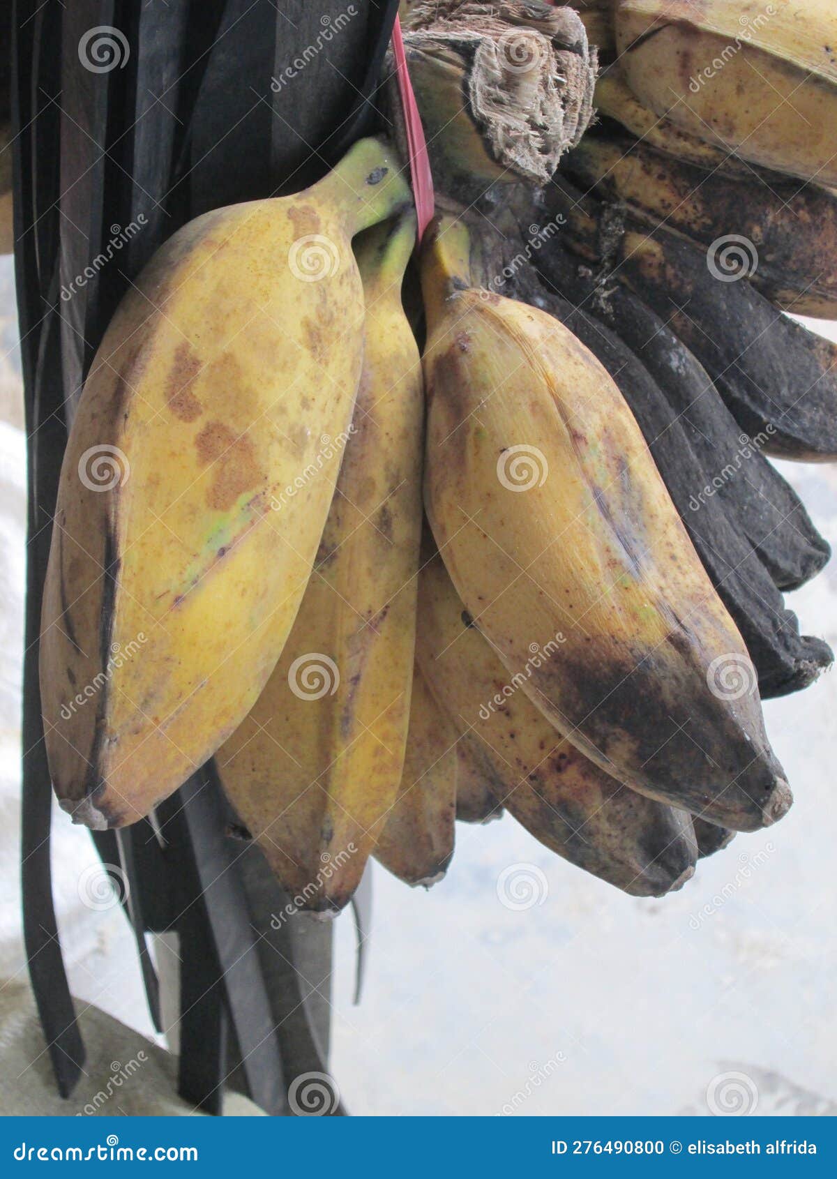 The Bananas, Not really Good One Stock Photo - Image of good, yellow ...