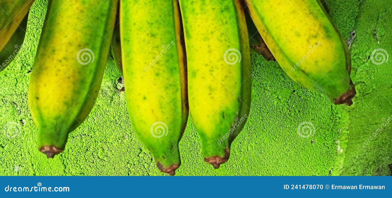 Bananas are Rich in Vitamins Stock Photo - Image of health, bananas ...