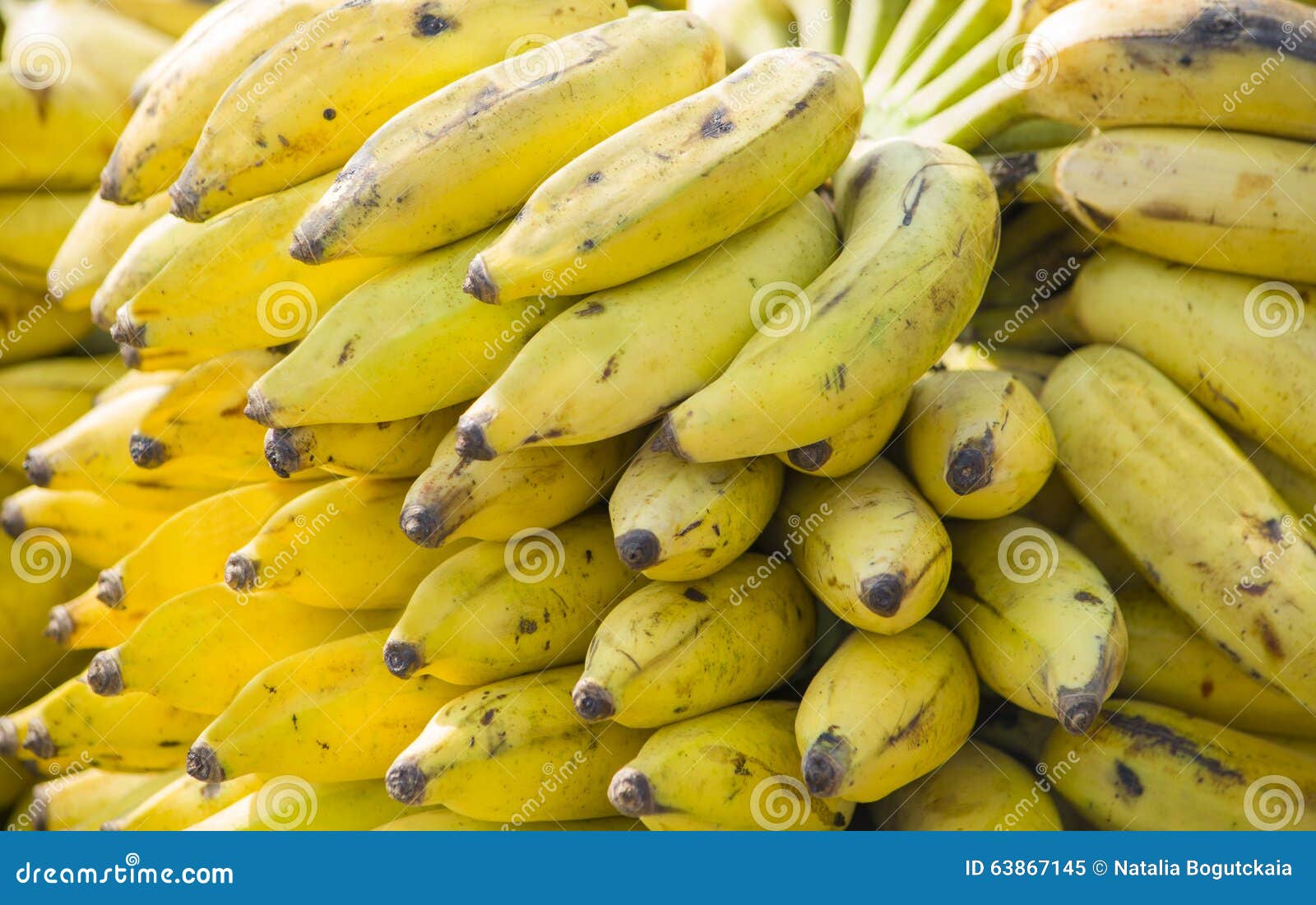 Bananas ripe yellow stock image. Image of plant, bananas - 63867145