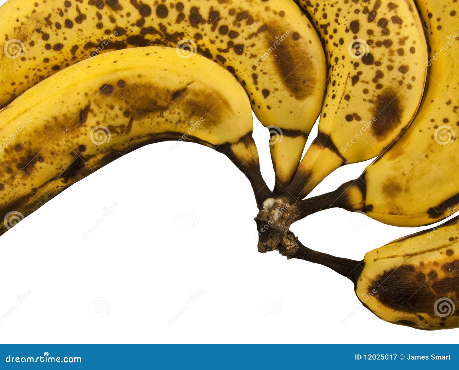Bananas in a row stock image. Image of background, lifestyle - 12025017