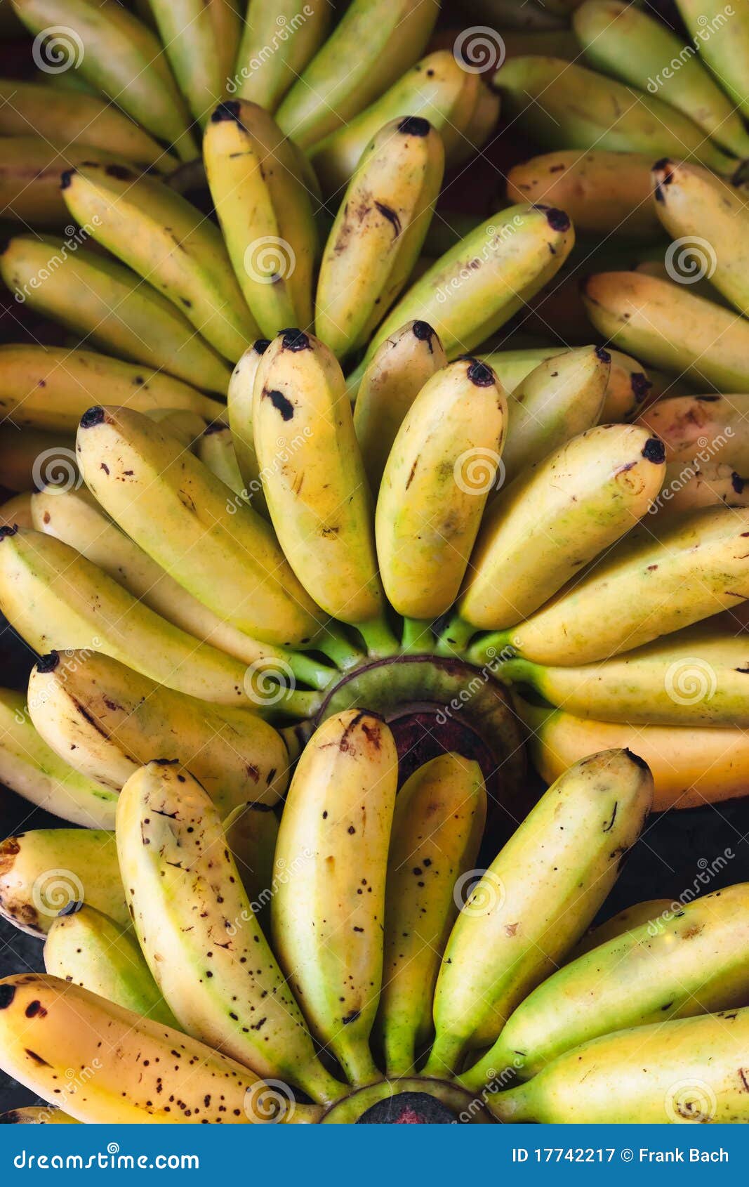 Bananas Stacked in a Market Stock Image - Image of closeup, close: 17742217