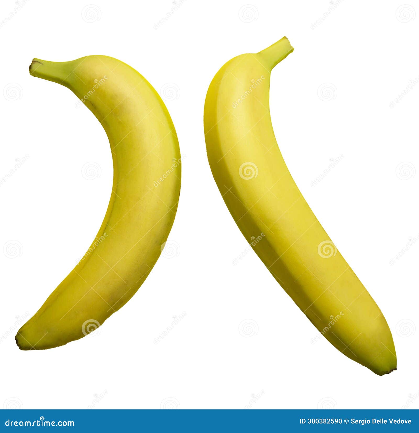 Opposite Position Royalty-Free Stock Photography | CartoonDealer.com ...