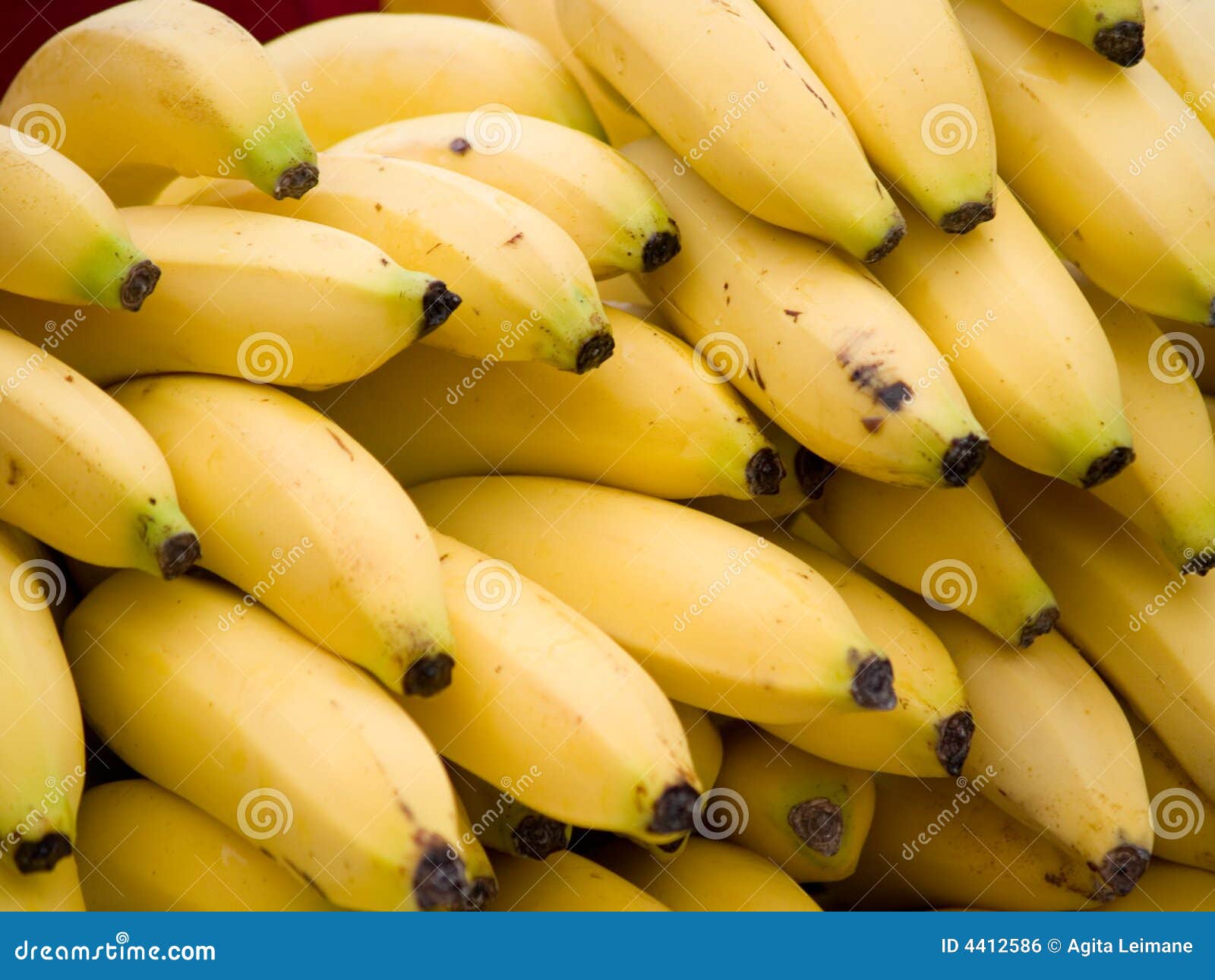 Banane fotografia stock. Immagine di alimento, banane - 4412586