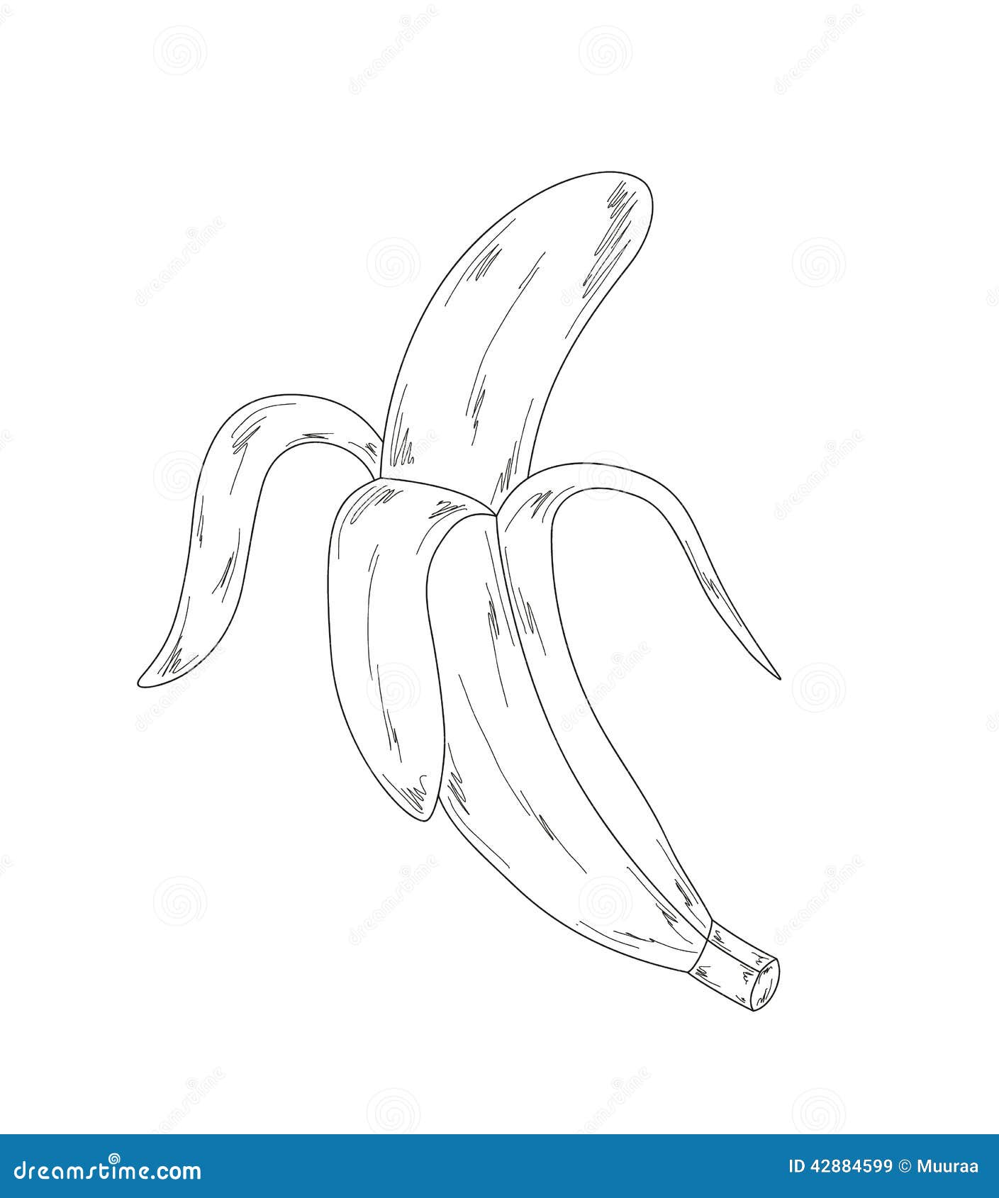 Banane, Skizze vektor abbildung. Illustration von schale - 42884599