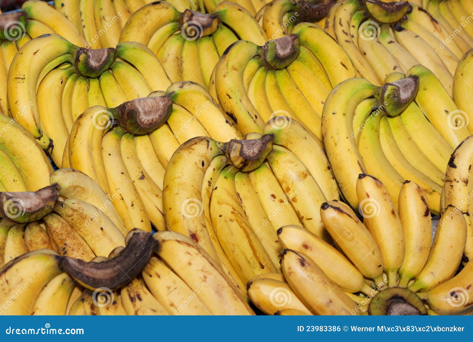 Bananer arkivfoto. Bild av inget, bakgrund, äta, stapel - 23983386