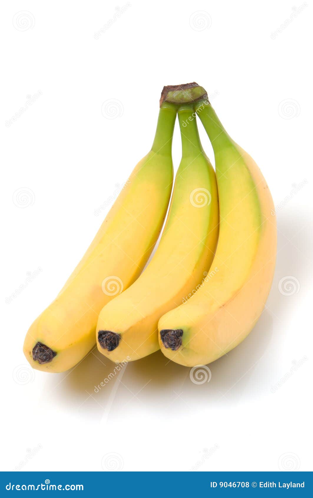 Bananer arkivfoto. Bild av efterrätt, moget, skjutit, sunt - 9046708