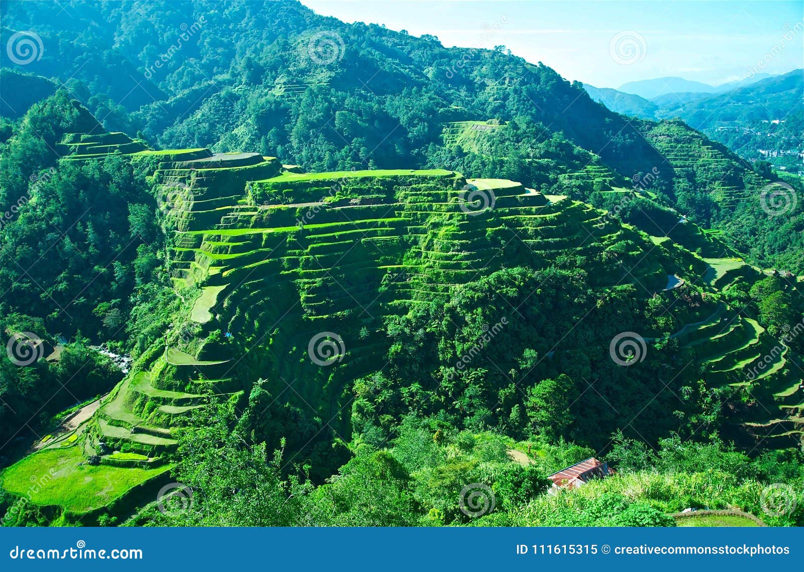 Banaue Rice Terraces Picture. Image: 111615315