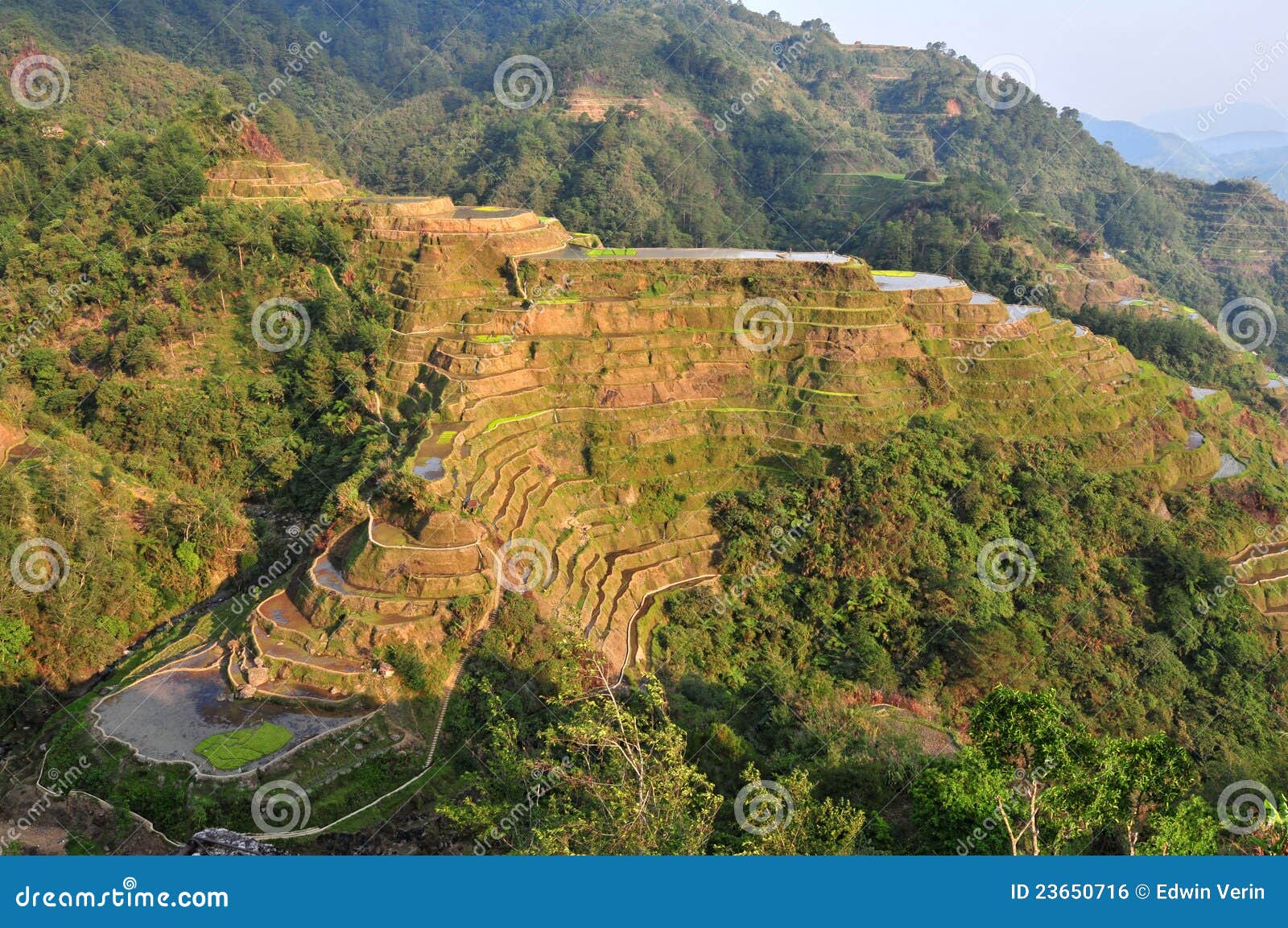 Banaue Rice Terraces In The Philippines. Royalty-Free Stock Image ...