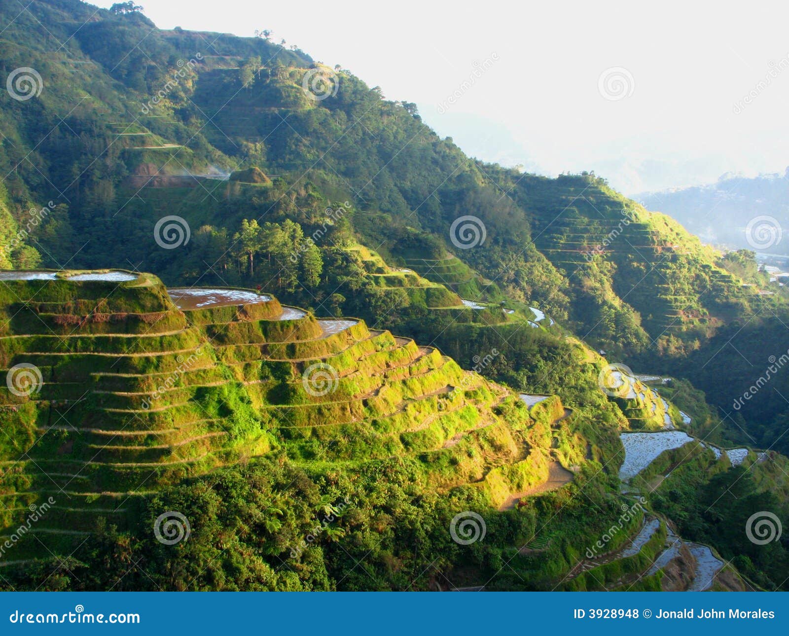 Banaue Rice Terraces stock photo. Image of paddy, hill - 3928948