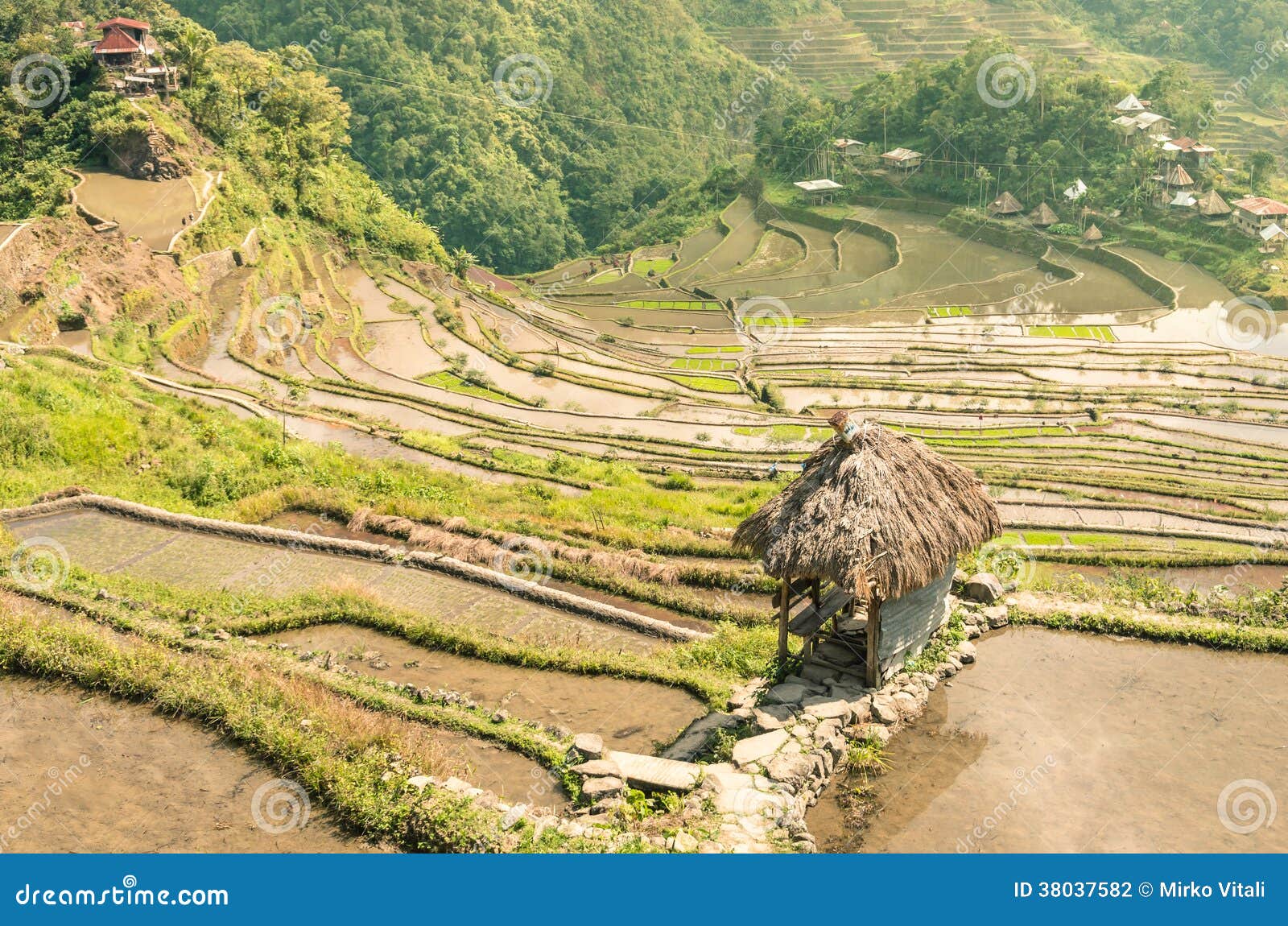 Banaue Rice Terraces - Batad Village Stock Photo - Image of lines ...
