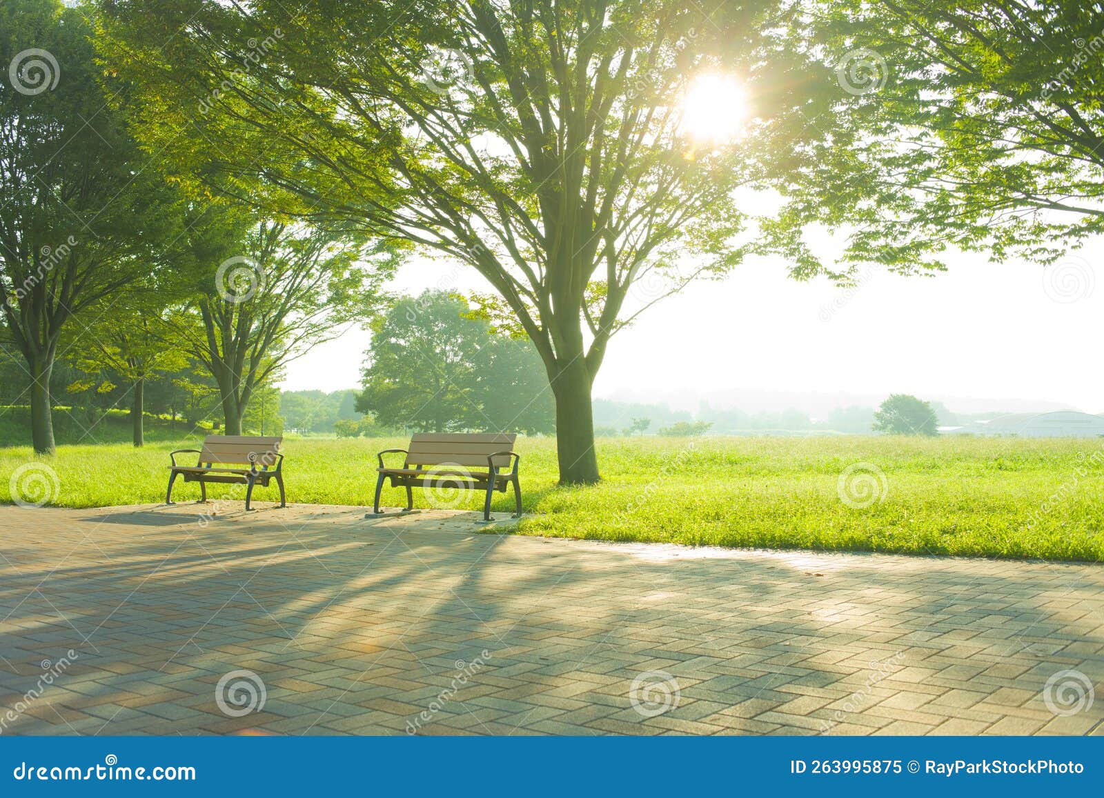 Banc de parc image stock. Image du conception, copie - 263995875